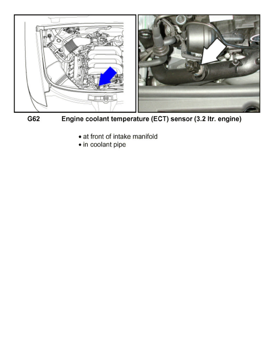 Coolant Temp Sender or Fan Control Module - AudiWorld Forums