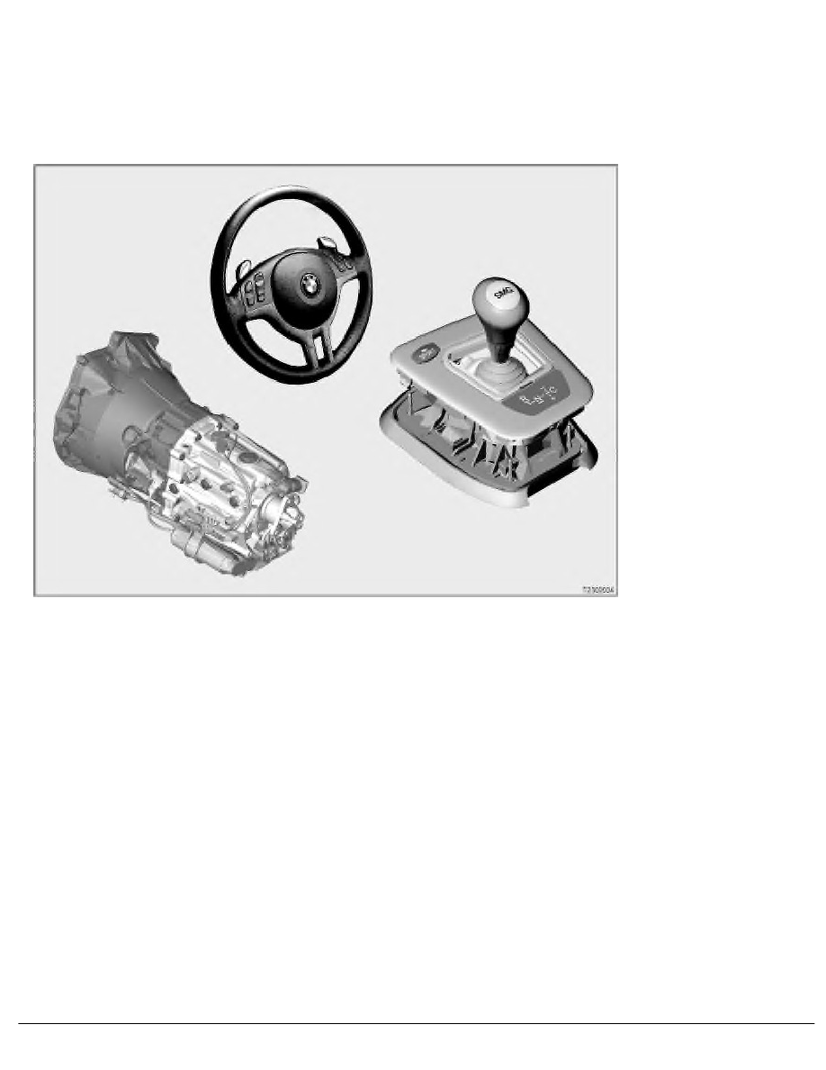 BMW Workshop Service and Repair Manuals > 3 Series E46 316i (N42) SAL ...